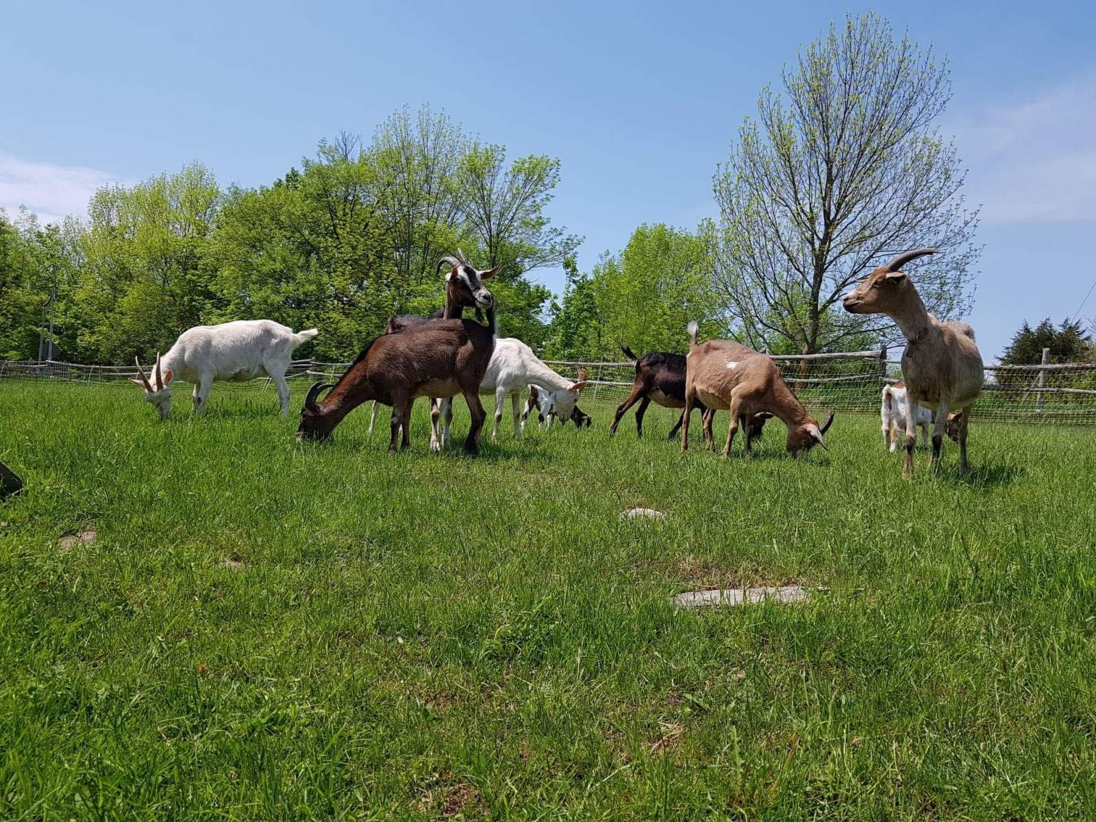 Salloch Family Homestead – From Our Family To Yours